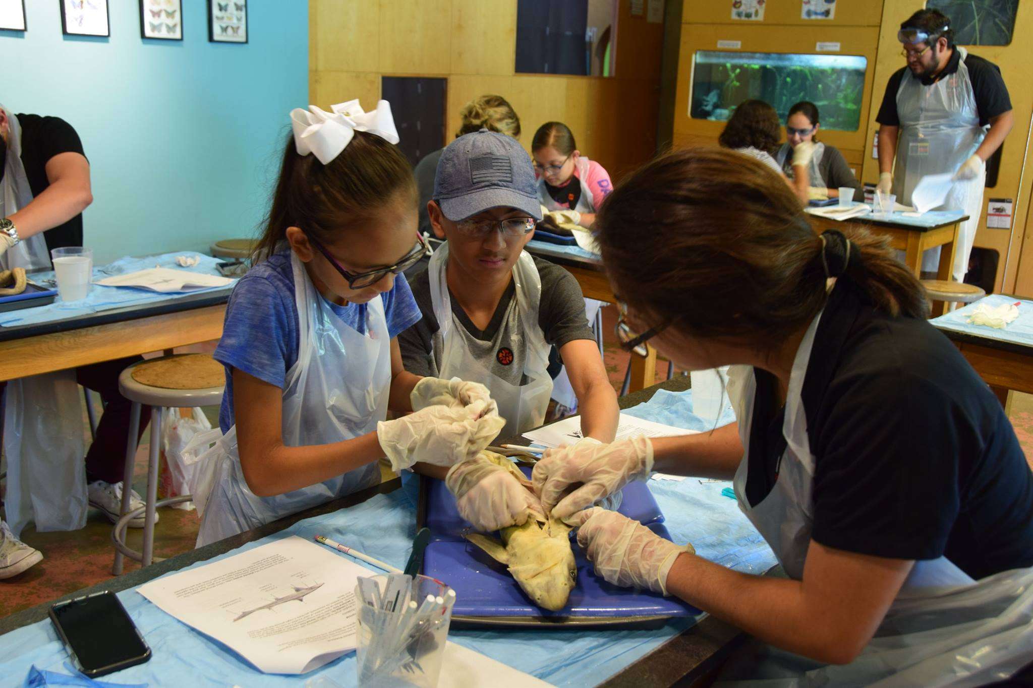 Youth Workshops - IMAS