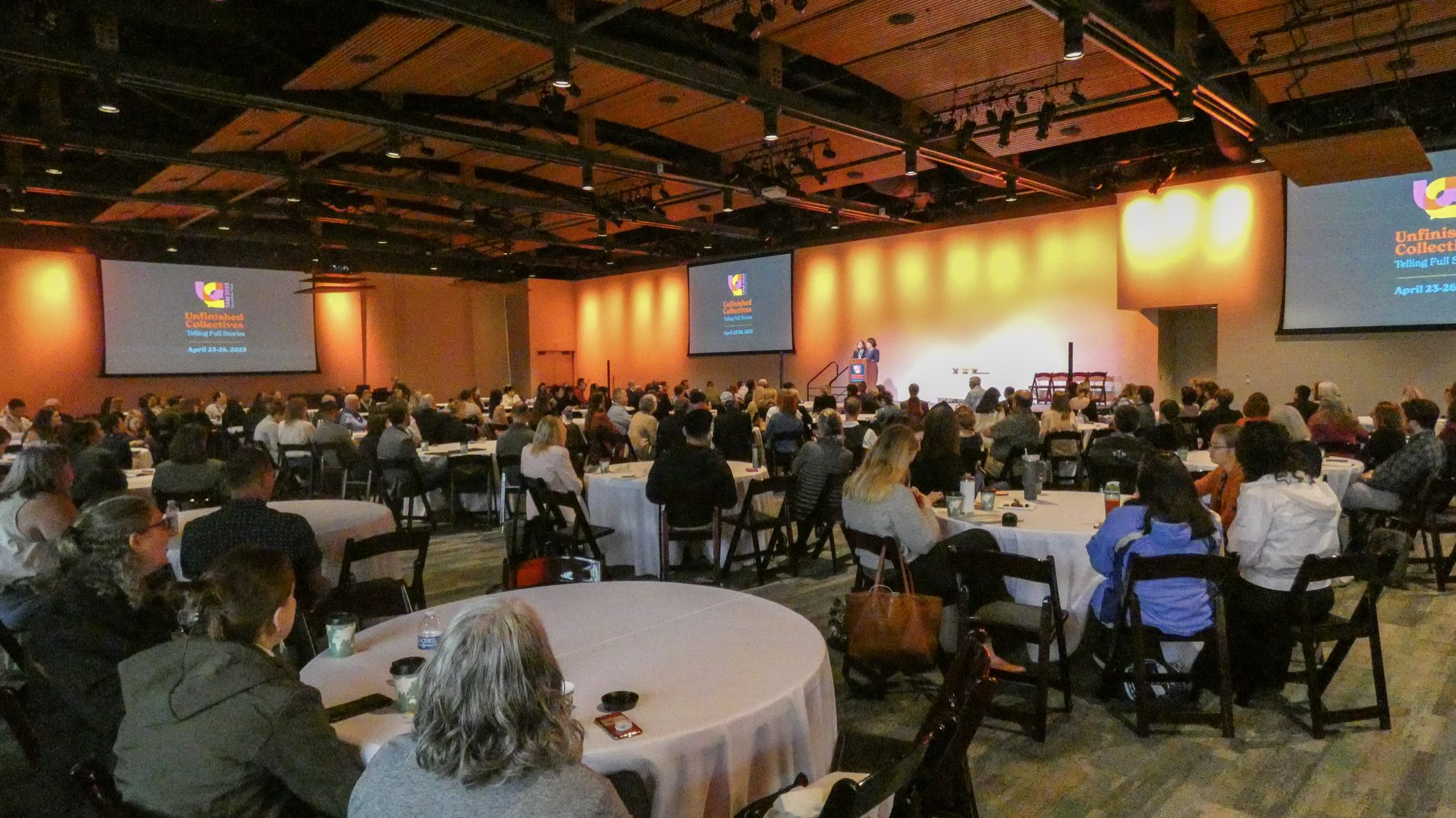 IMAS Director Elected as Texas Association of Museums President - IMAS