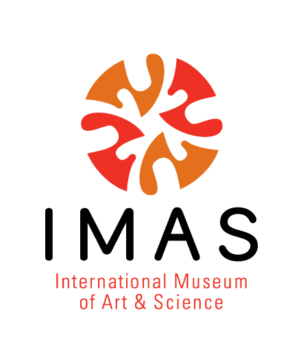 This is a STEMinist - IMAS