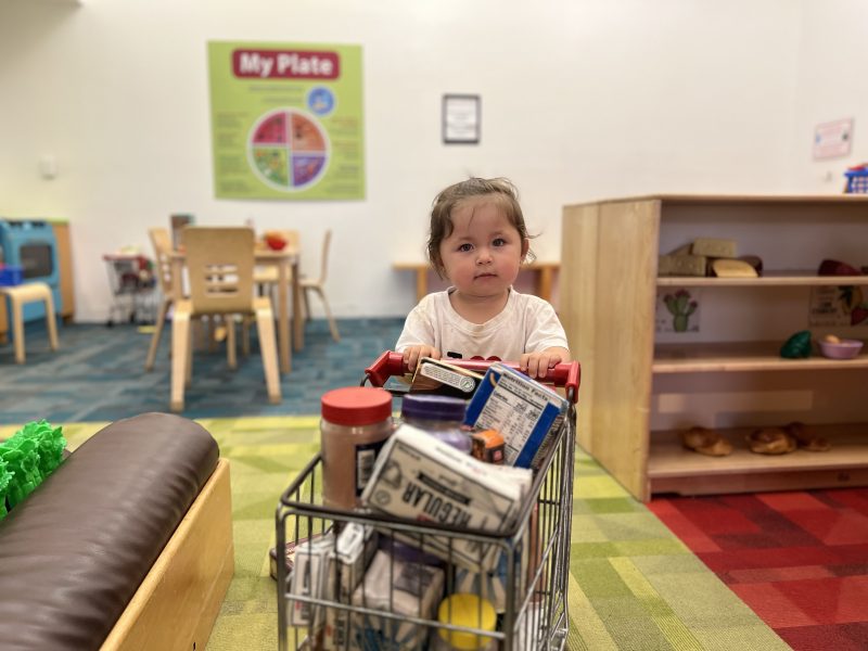 Current Exhibitions - IMAS