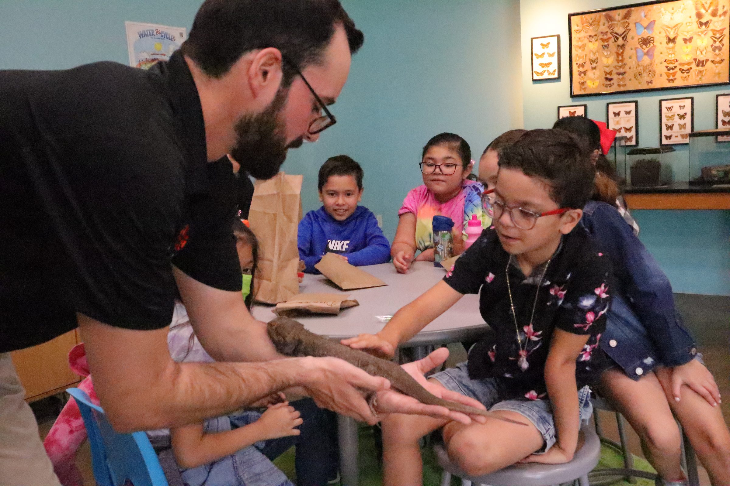 Field Experiences - IMAS