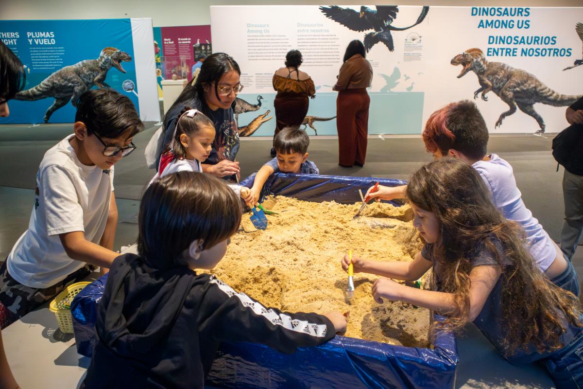 IMAS International Museum of Art & Science - IMAS